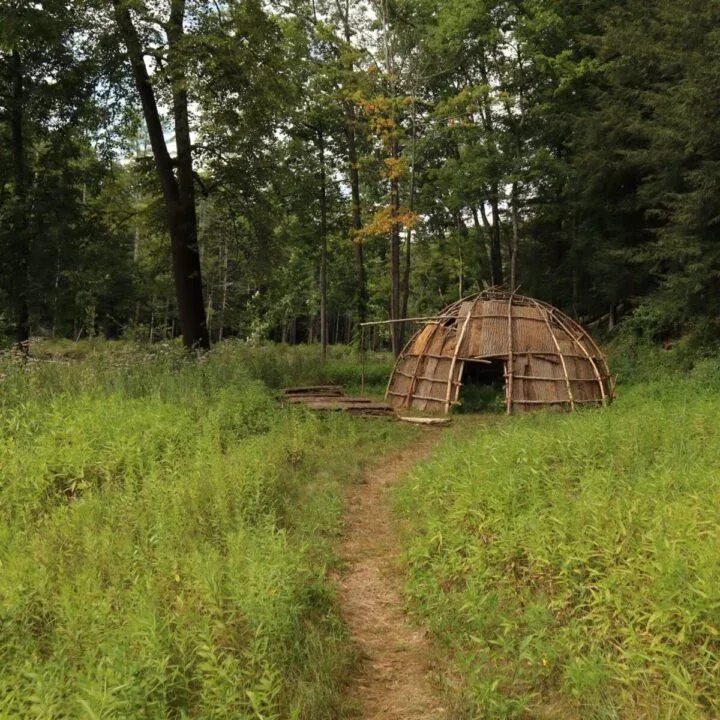 News & Stories - The Ashokan Center